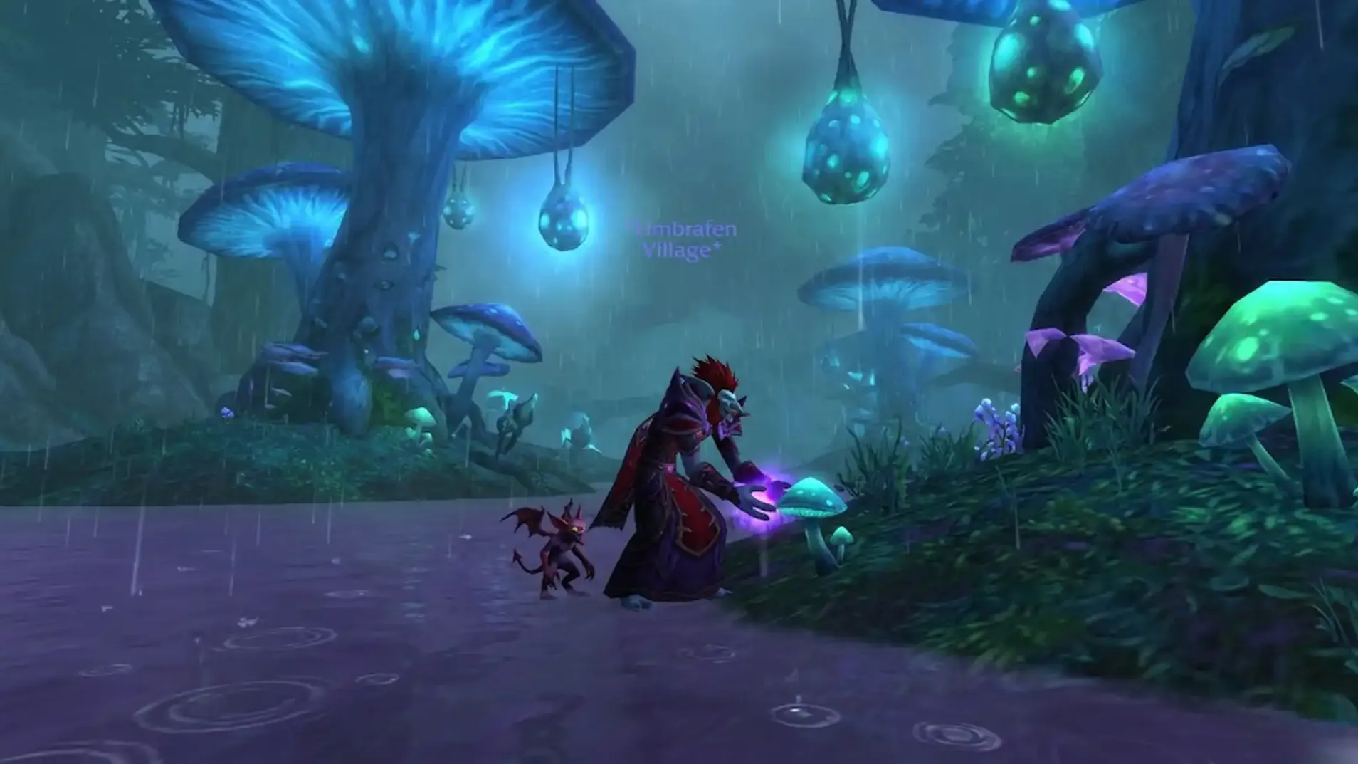 WoW TBC Classic Anniversary Protection Paladin Guide